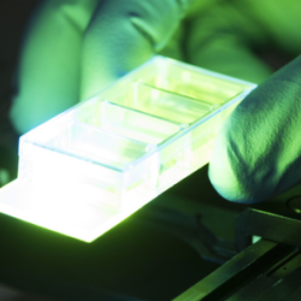 Project BioSensing Developing Modern Biosensors Using Quantum ...